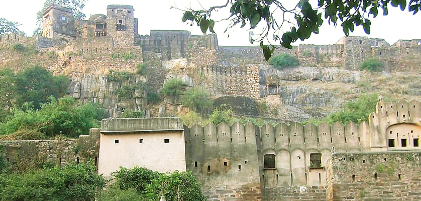 Jaipur to Ranthambore Day Trip Tour Package from Jaipur